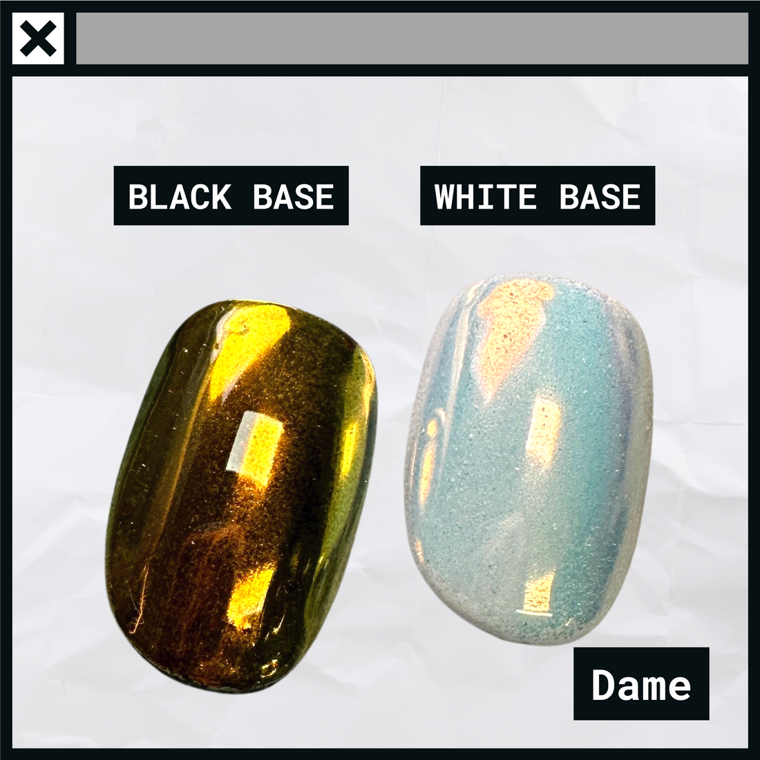 Used by Professionals, Available for Everyone • Function of Vex